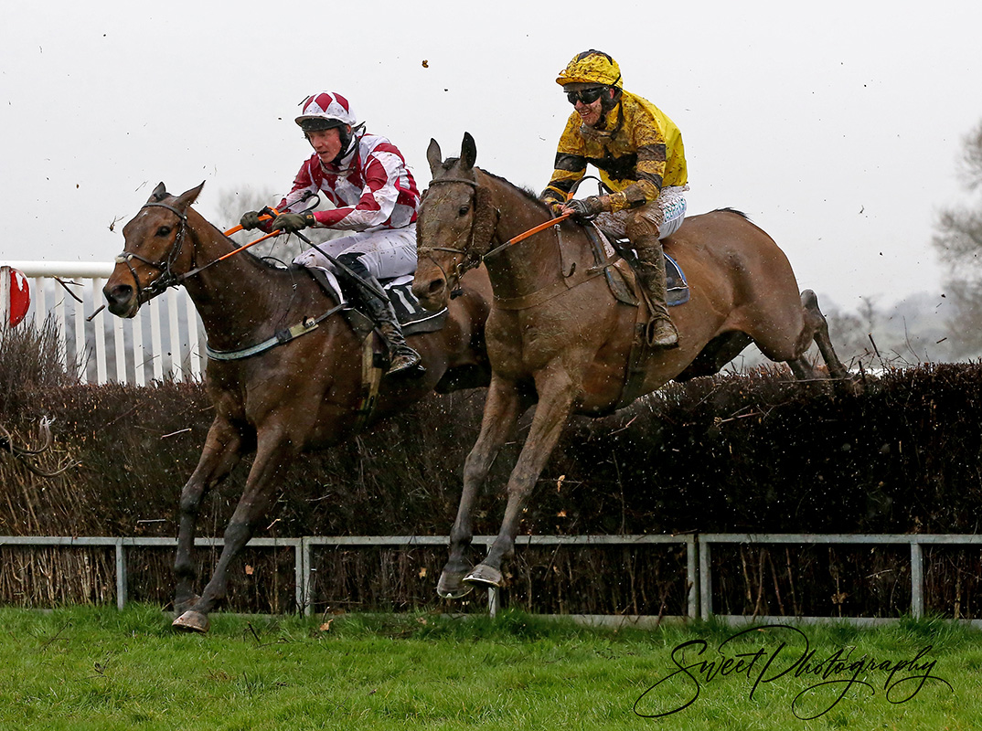 Henry Crow doubles up at watery Bangor - Knightwick Races