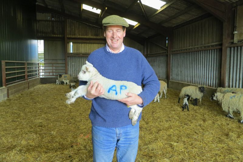 Baileys Blog » Home