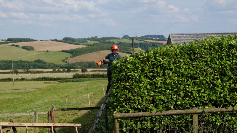 Baileys Blog » Home