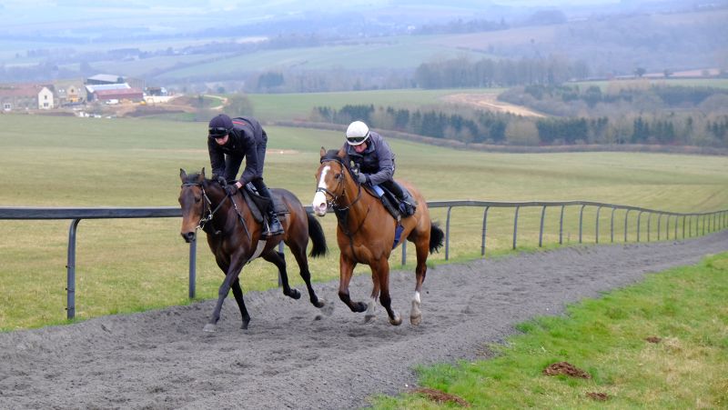 Jimmy The Jetplane and Ballyknock Lad