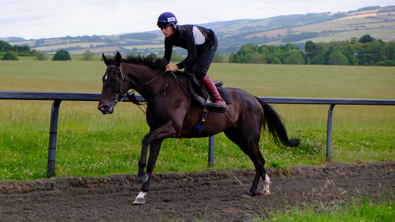 Baileys Blog » Home