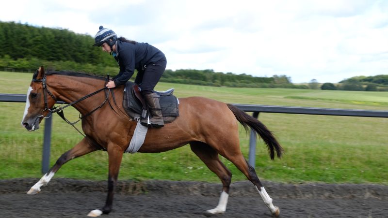 Baileys Blog » Home