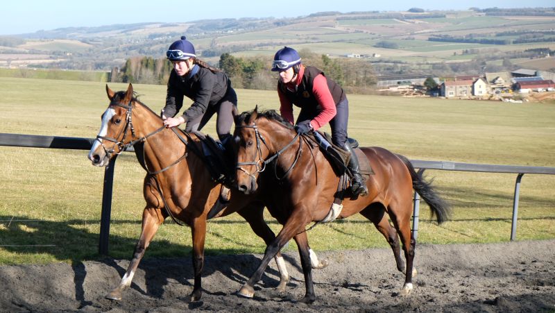 Tara's Rainbow and Premier Portrait