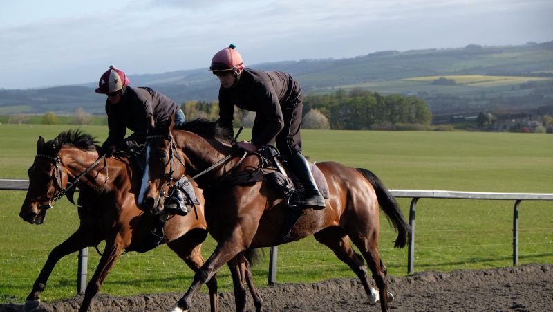 Charingworth and Bishophill Jack