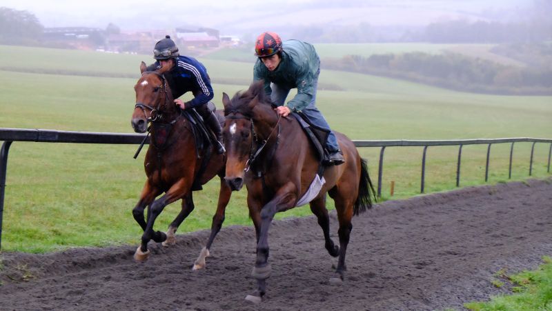 Premier Portrait and Mor Brook