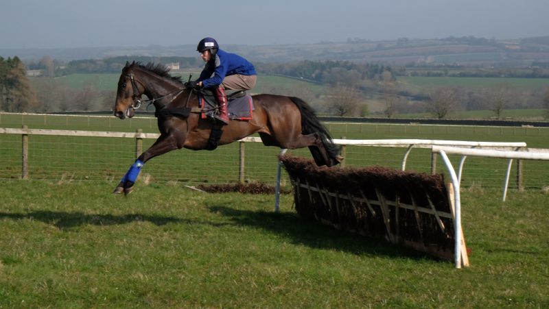 Baileys Blog » Home