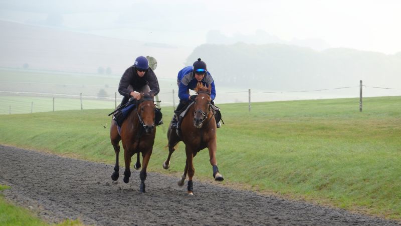 Tony Solomons Gaelic Myth and Ed Cookson on the left with Clive ...
