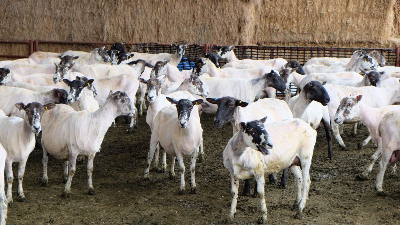 Stripped bare.. hope it stays warm for them?